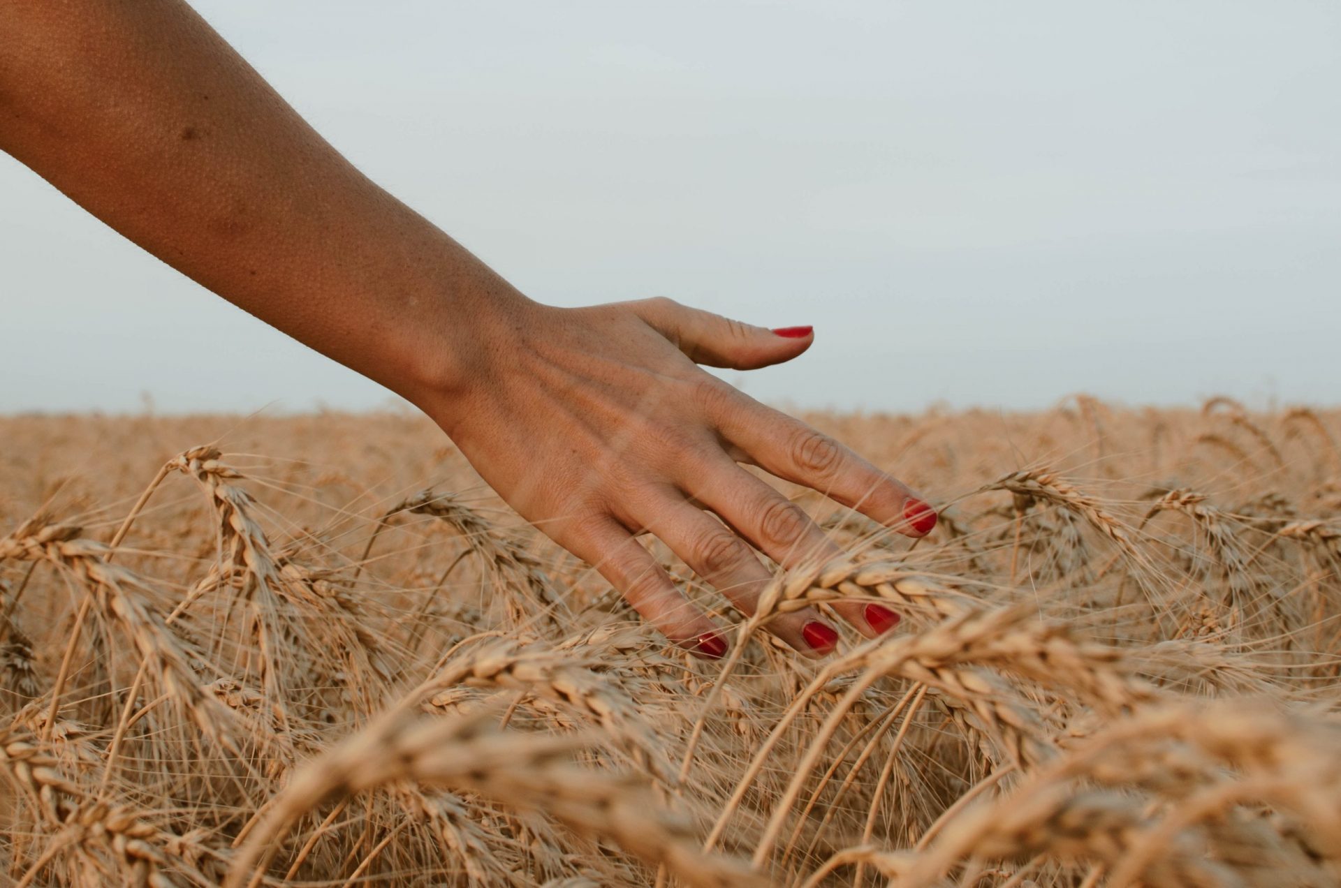 Nagelstyling en gevaarlijke stoffen? ‘Weet waar je mee werkt’ - Nailed ...